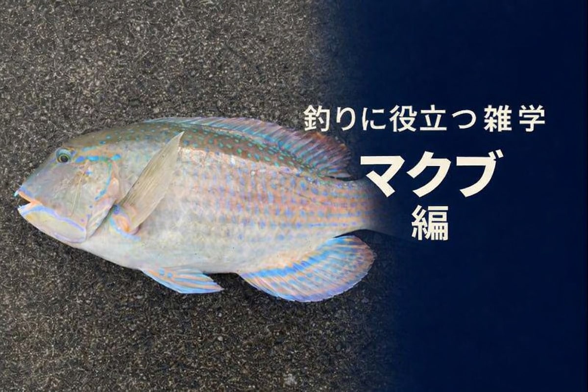 2025年12月19日 2026年4月30日